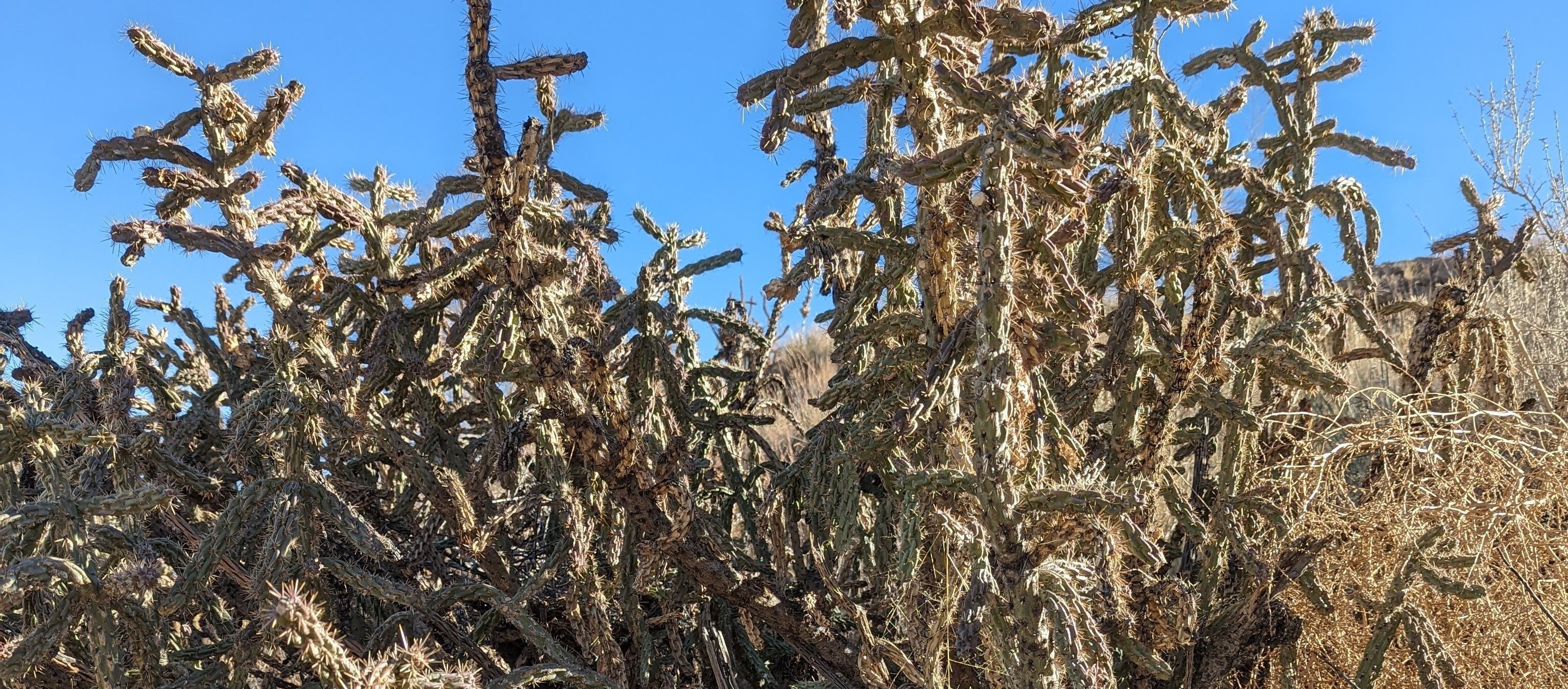 Perrin Ruth - Perrin Ruth